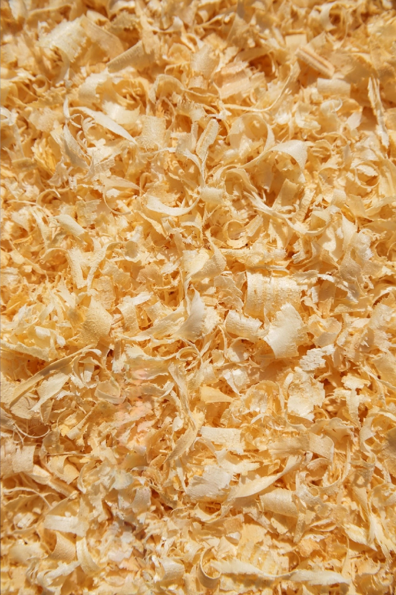 Wood Shaving – Green Care